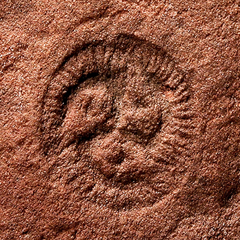 Ediacaran Period – Scienceandsf -A Blog Published by Robert A. Lawler