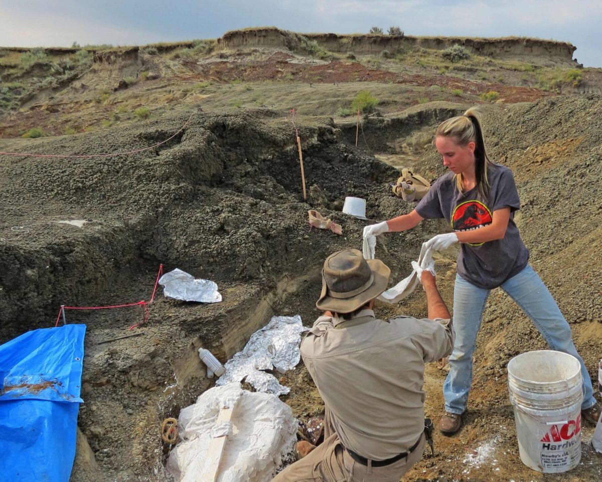 Tanis Fossil Site – Scienceandsf -A Blog Published by Robert A. Lawler