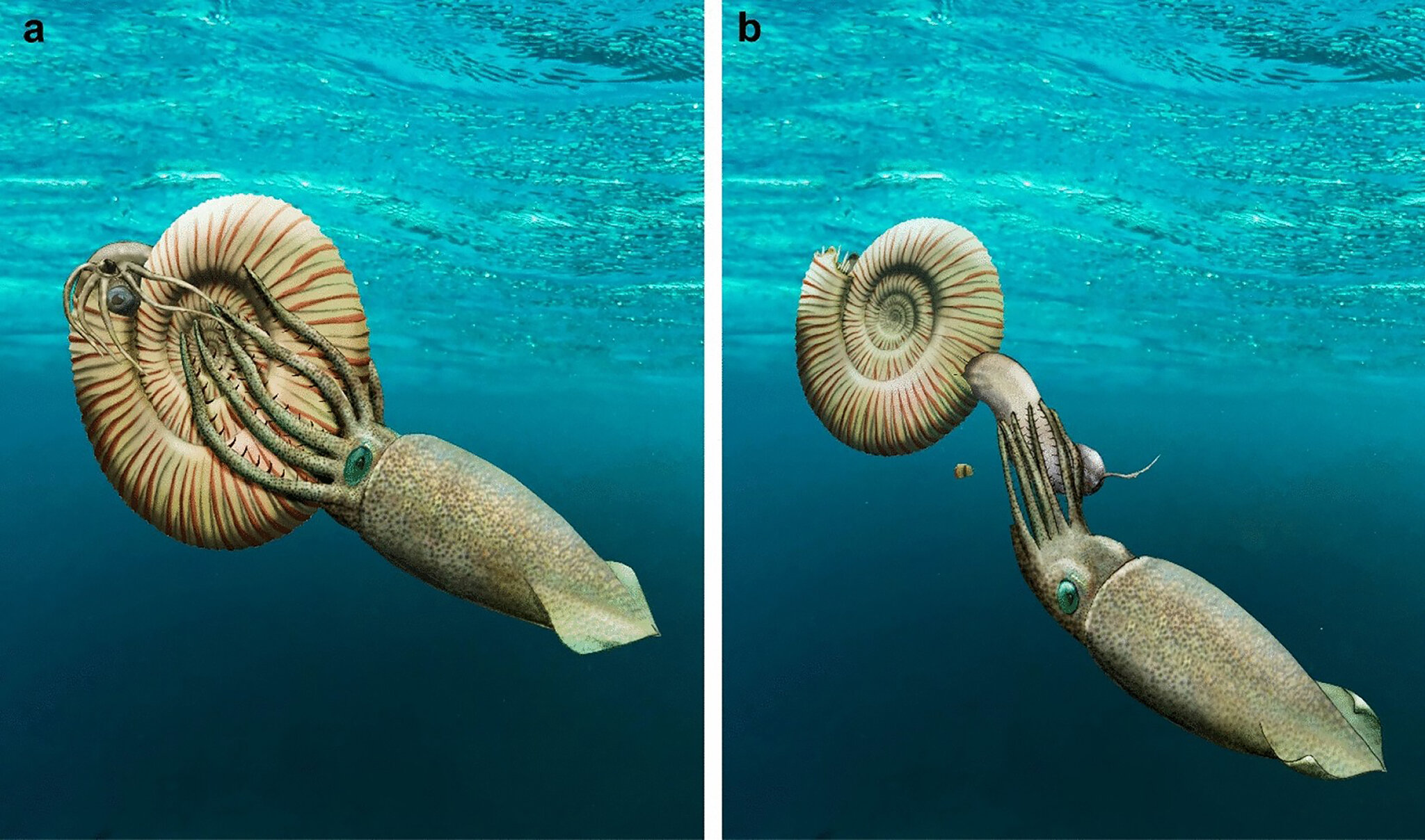 Paleontology News for February 2021. – Scienceandsf -A Blog Published ...